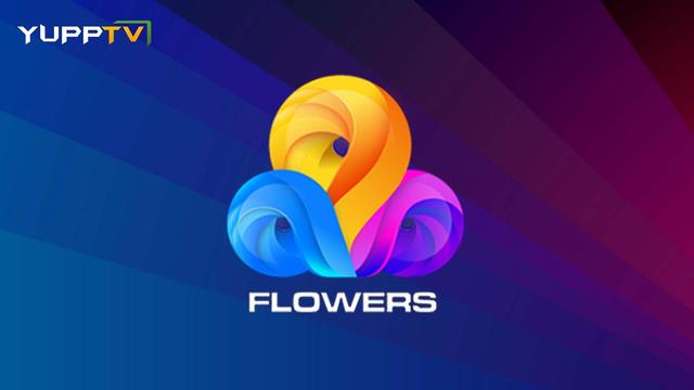 Watch TV Shows, Movies, Web Series, Live News & TV in Full Hd - Vi ...